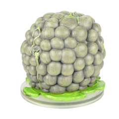 Encephalon Cluster - Miniatures & Games - WizKids - Noble Knight Games