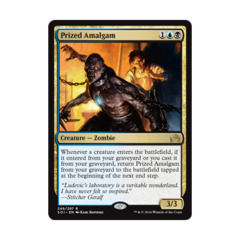 Prized Amalgam (R) - MtG Shadows Over Innistrad - Wizards of the Coast ...